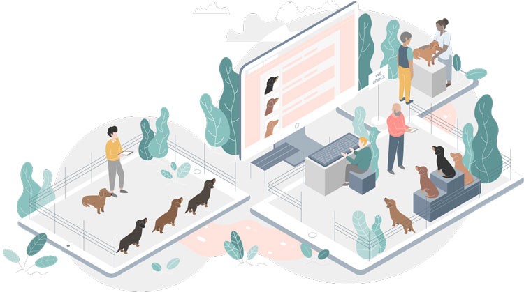 Dogg.Dog - Dog Show Software Platform - Dog Show Software - Organizing ...